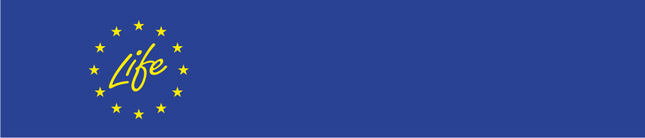 LIFE Programme - LIFE-MAPPINGAIR/PL